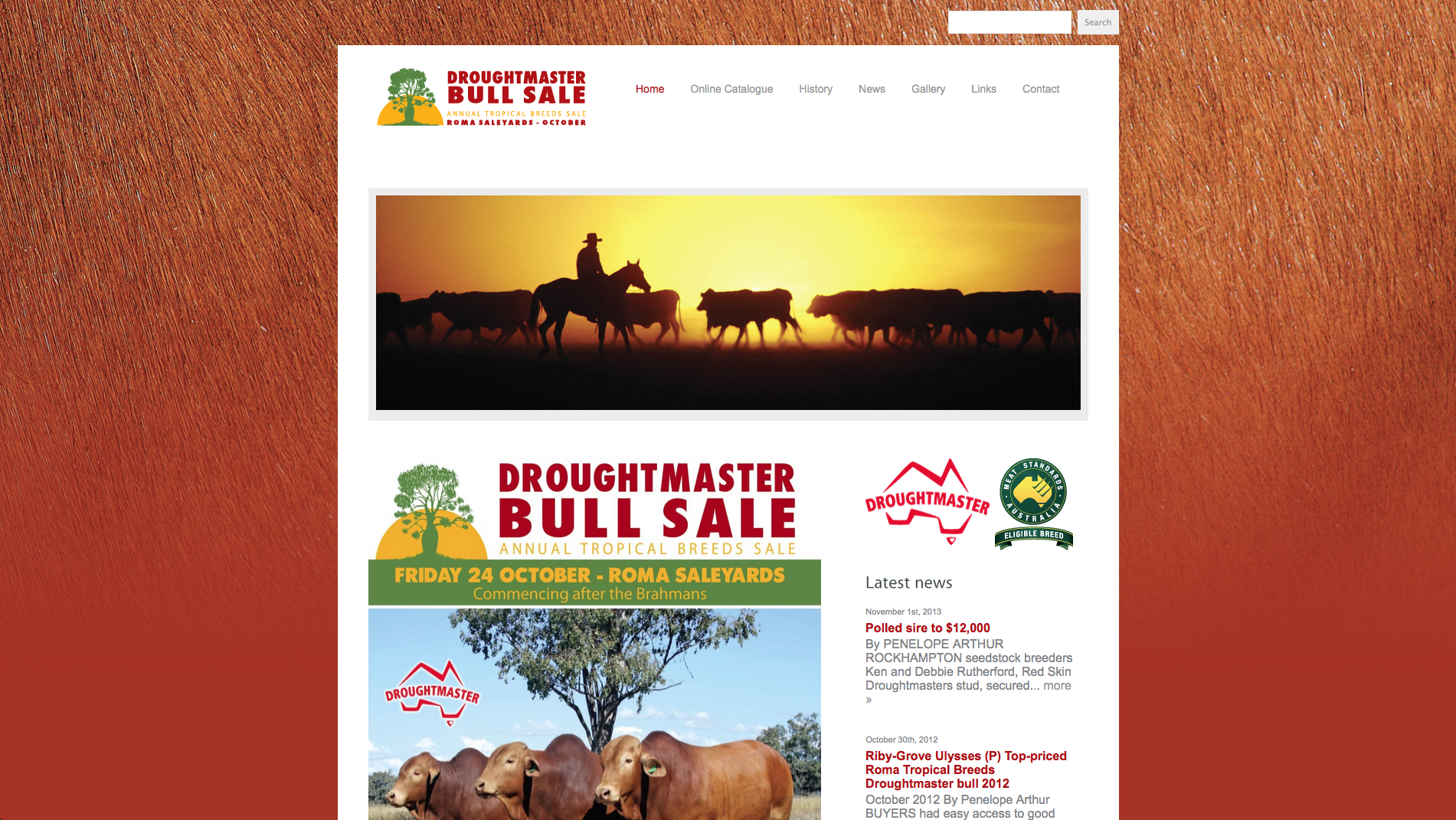 Roma Droughtmaster Sale | Rural Design Studio